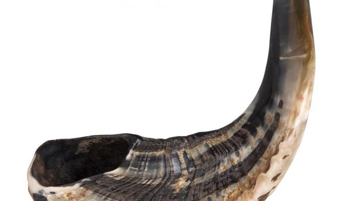 Shofar Buying Guide: What You Want to Know Before You Buy a Shofar